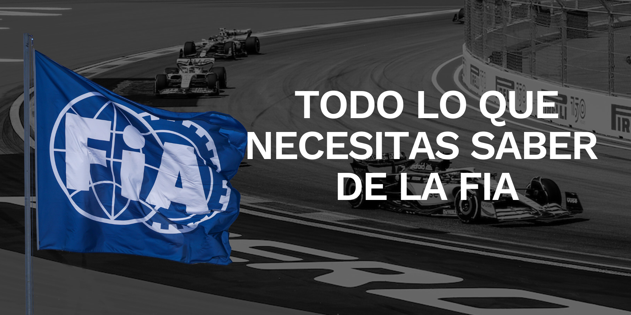 Todo lo que necesitas saber acerca de la FIA – DRIVER 1